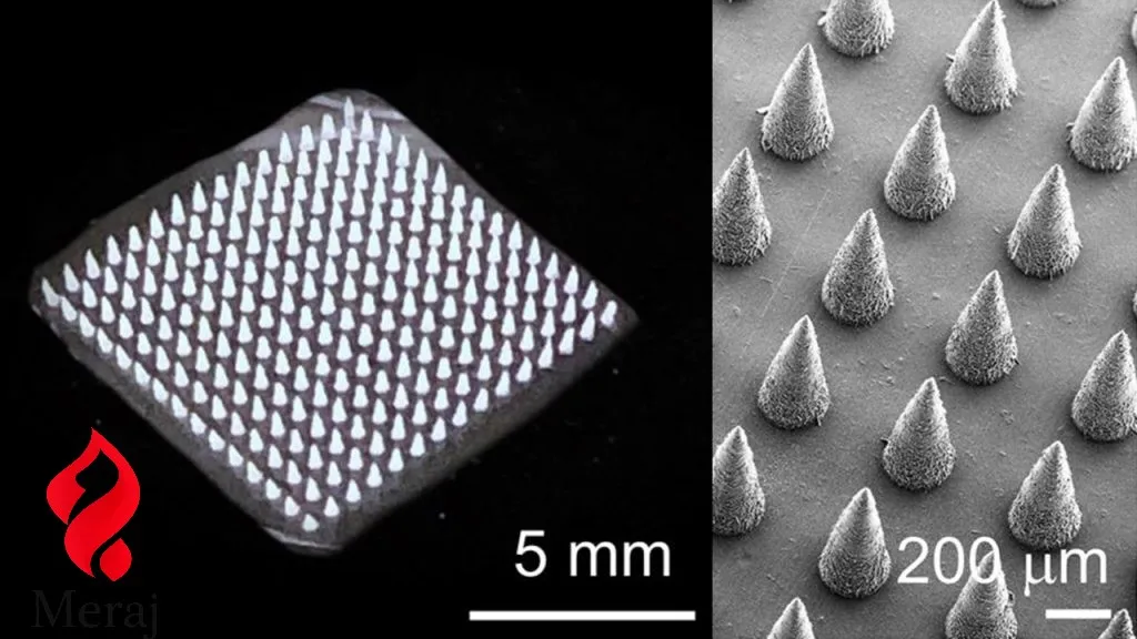 Iranian Nano-Innovation Transforms Production of Biodegradable ...